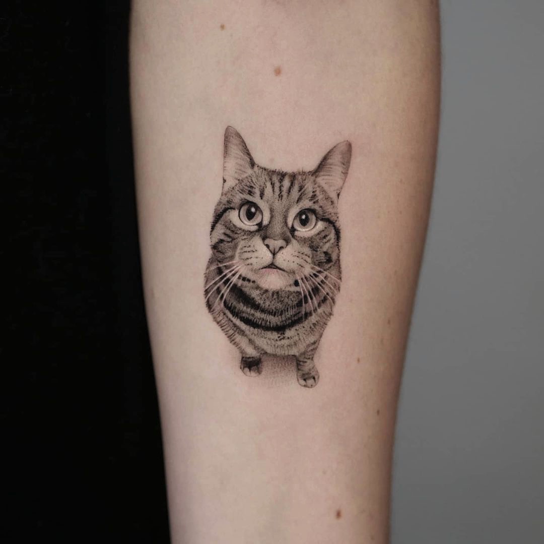 70 fotos de tatuagens em micro realismo - Blog Tattoo2me