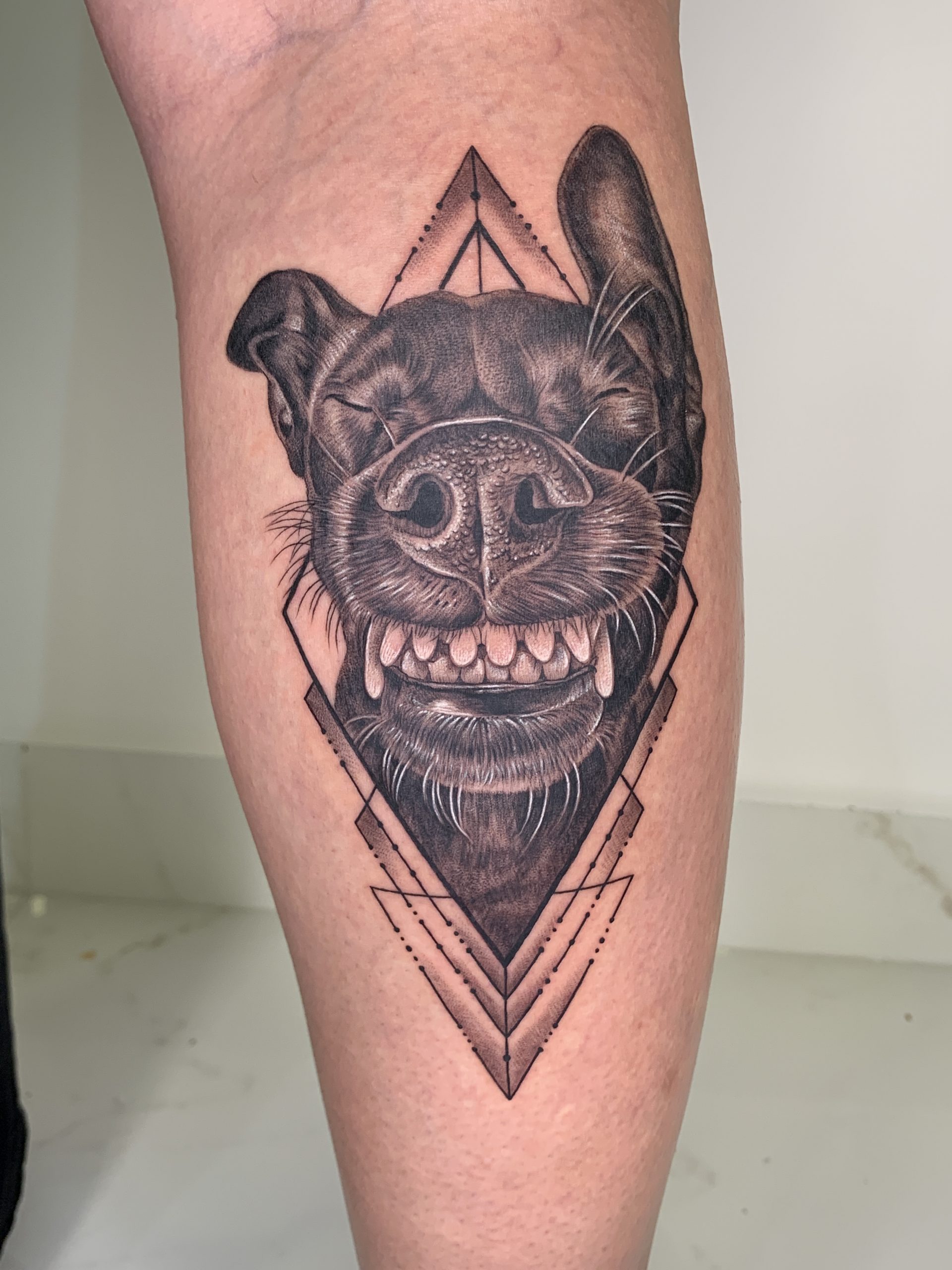 Beatriz Rezende: Encanta clientes com o realismo de homenagens aos Pets ...